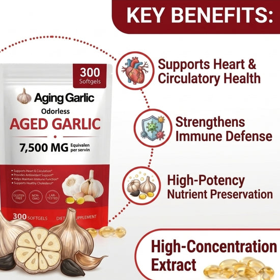 Aged Garlic Extract (7500mg Odorless Softgels) – Aging Garlic